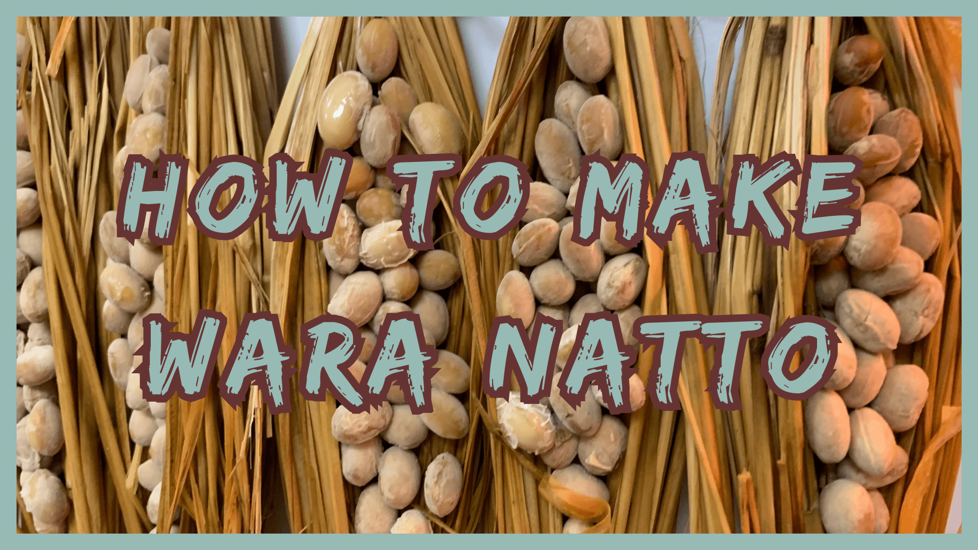 How to Make Natto with an All-In-One-Pot